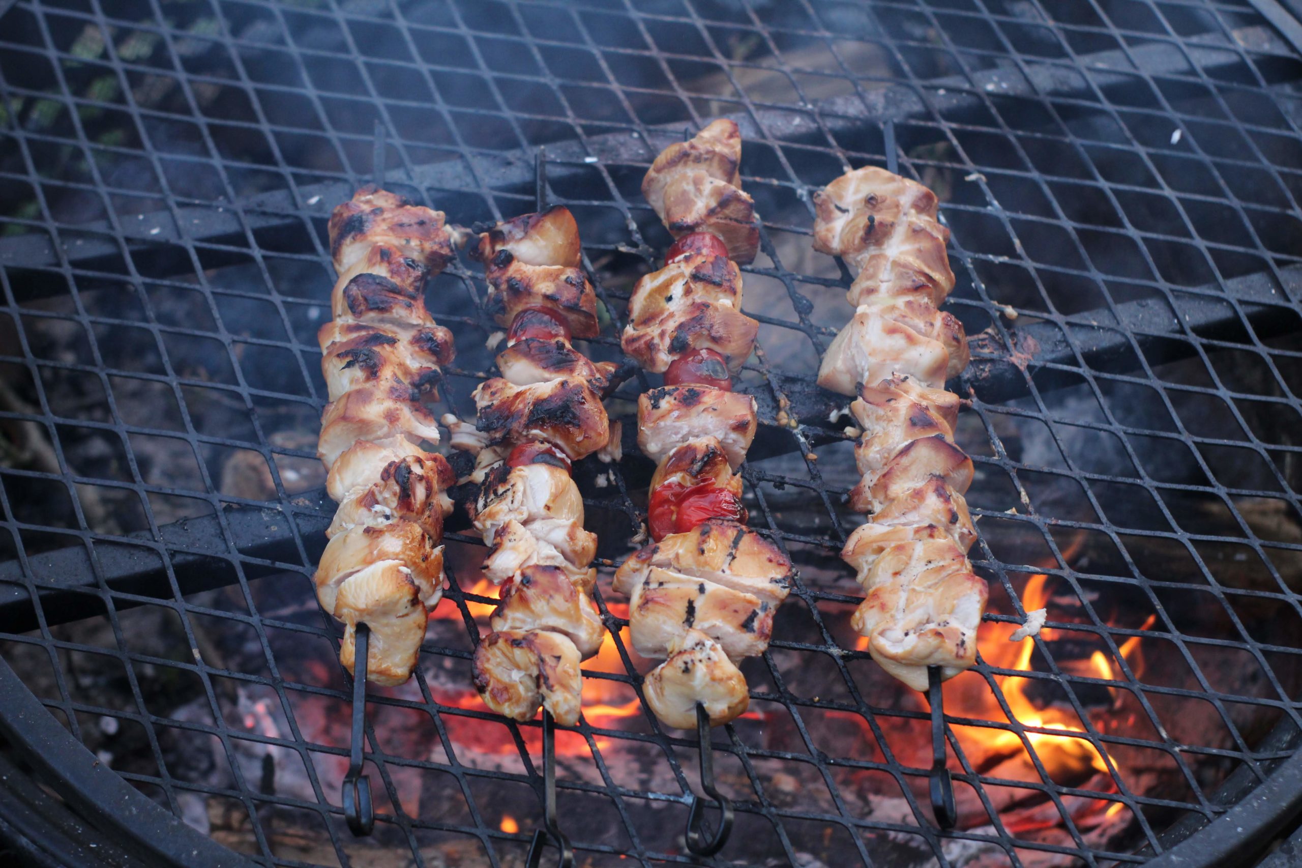 Chicken Satay Fusion Burrito – Culinary Adventures and what not